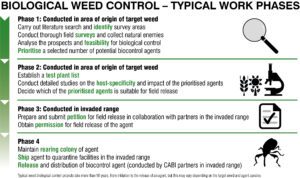 Biological control of invasive plants - CABI.org