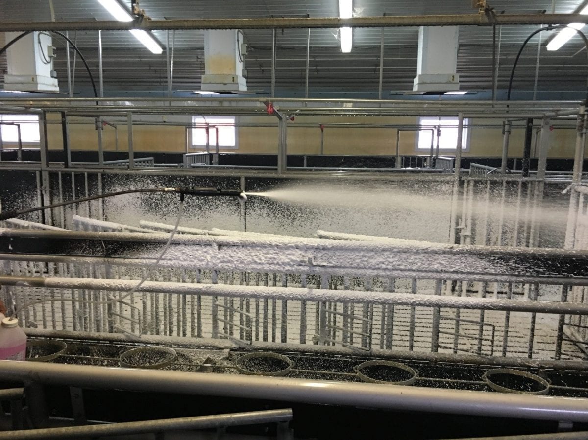 Animal Welfare, 3rd Edition - CABI.org