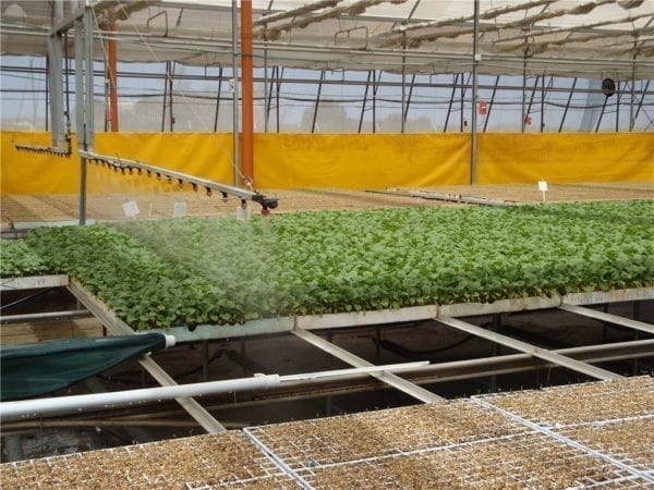 Vegetable Production and Practices - CABI.org