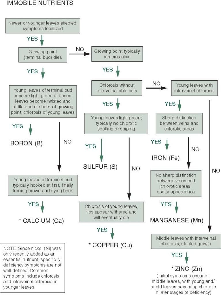 Vegetable Production and Practices - CABI.org