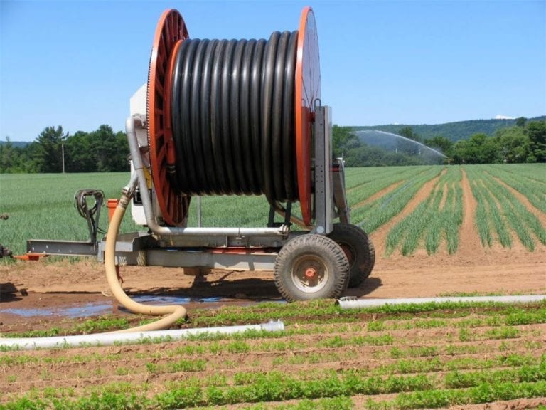 Vegetable Production and Practices - CABI.org