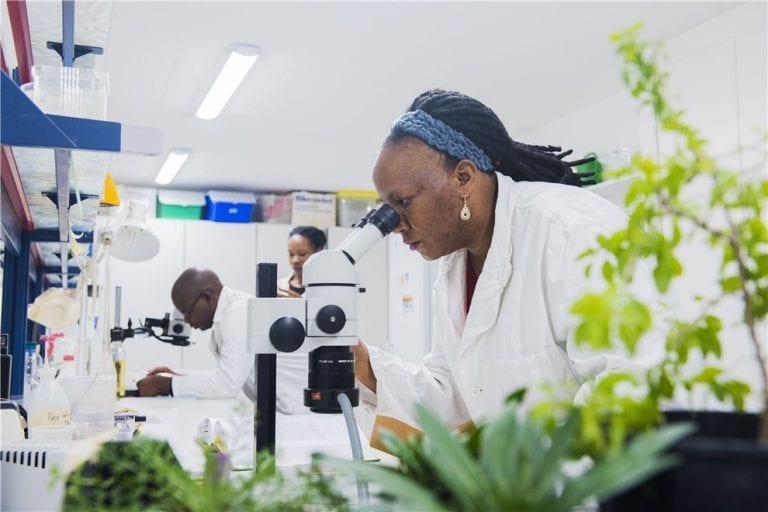 The UK-CGIAR Centre - CABI.org