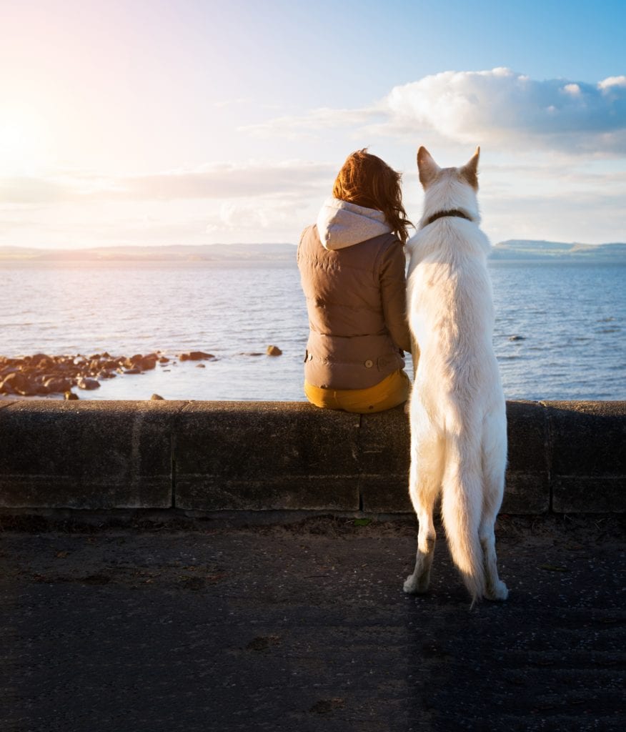 Companion Animal Economics - CABI.org