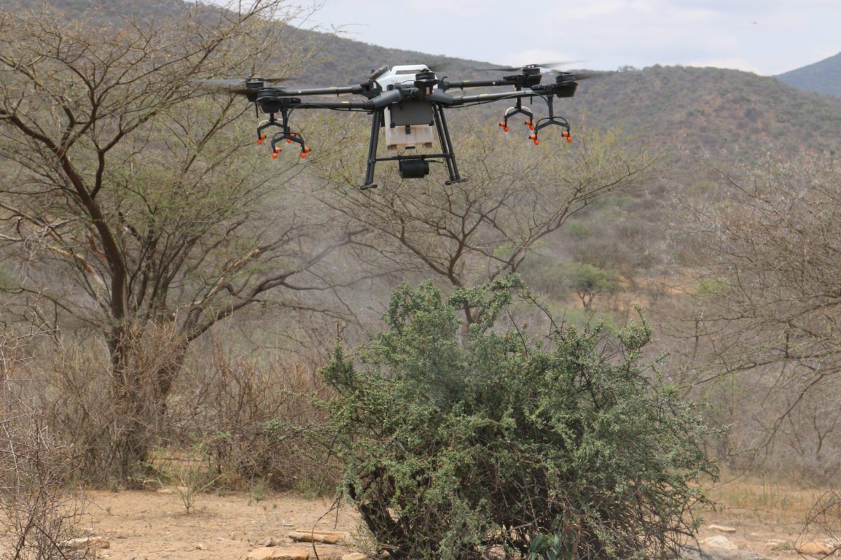 Drones for desert locust control in East Africa - CABI.org