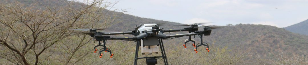 Drones for desert locust control in East Africa - CABI.org