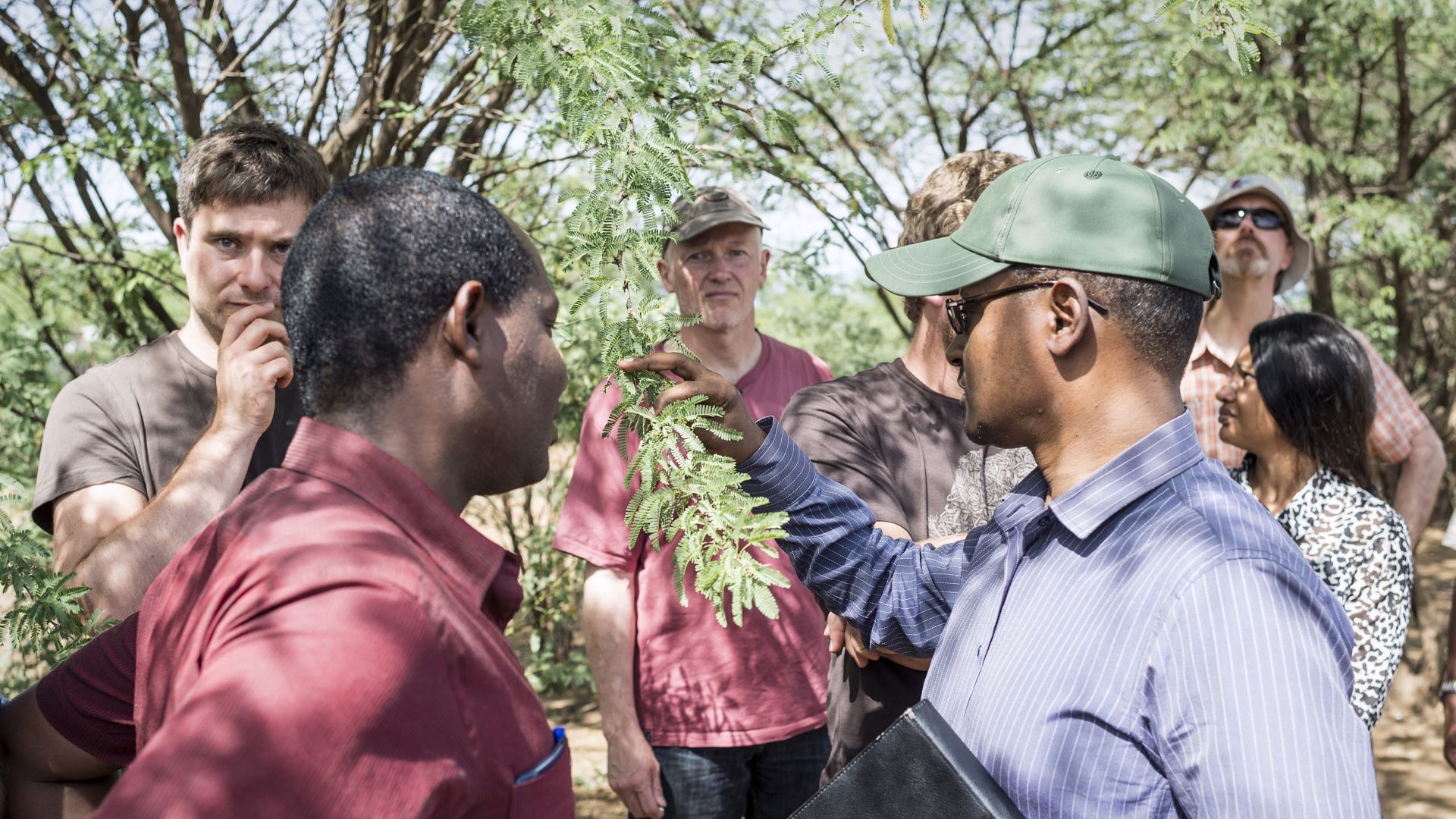 Restoring the land through collective action - CABI.org