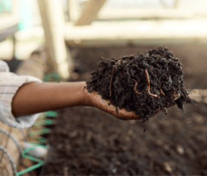 Sustainable Soil Management Practices - CABI.org