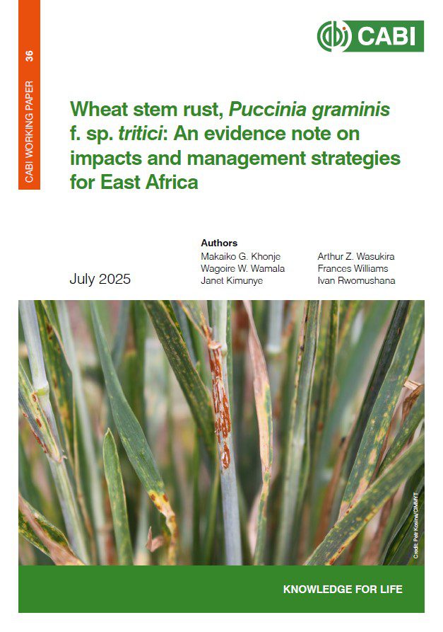 Wheat stem rust, Puccinia graminis f. sp. tritici: An evidence note on ...