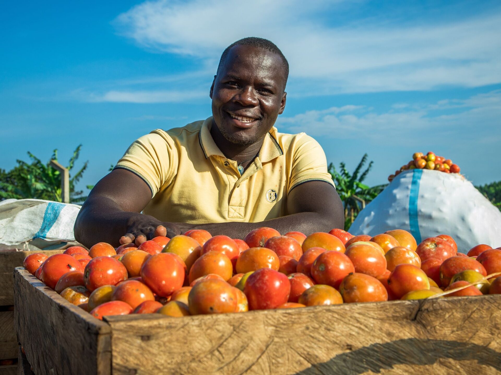 MSc: Living Planet with Sustainable Agriculture and Technology - CABI.org