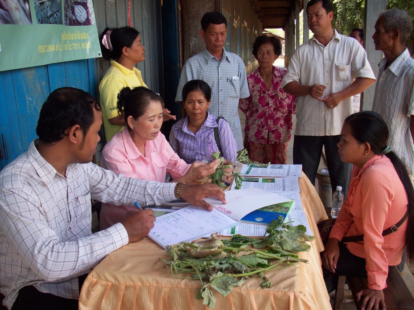 Strengthening agro-ecosystem health and building resilience in Climate ...