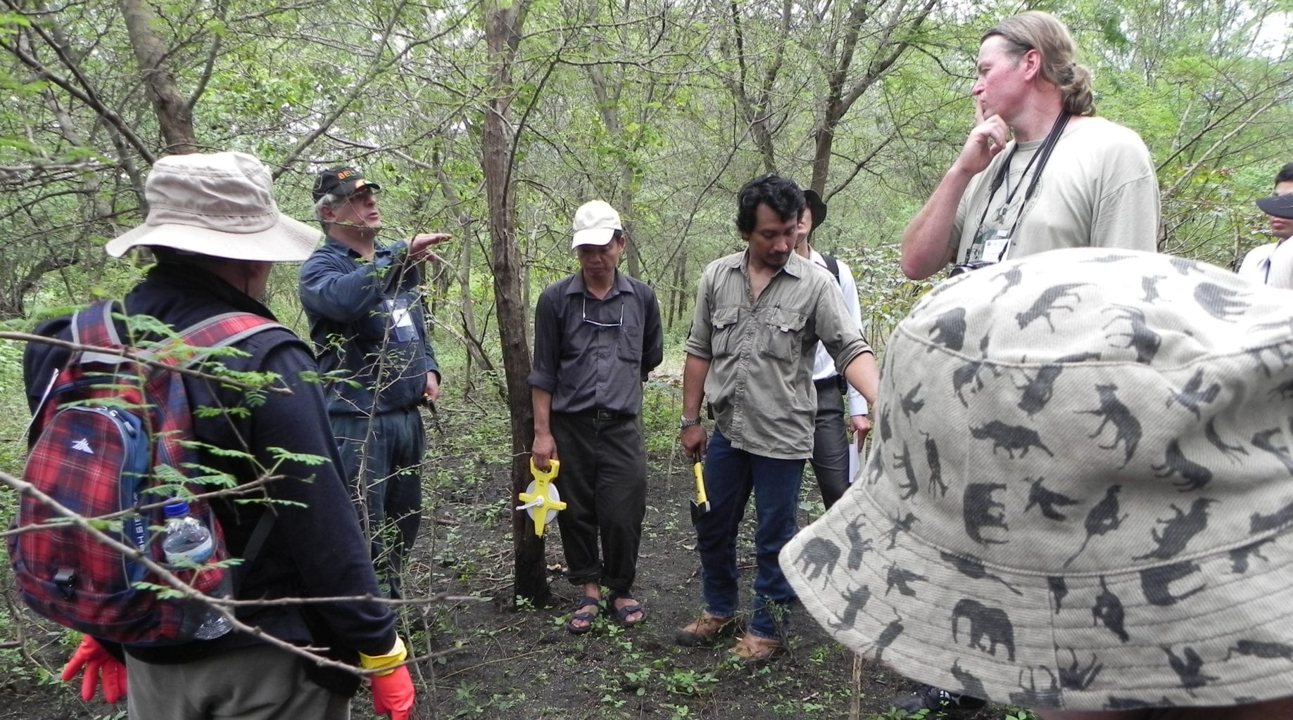 Managing invasive species in selected forest ecosystems of South East ...