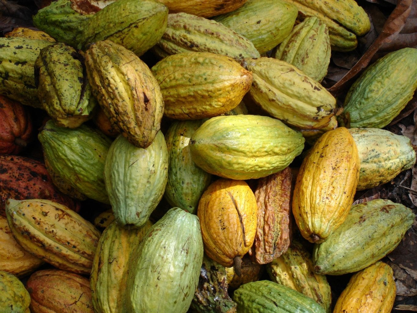 Improving SPS training and knowledge sharing in cocoa (CocoaSafe ...