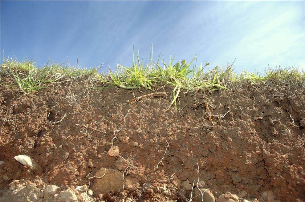 Soil Science Database - CABI.org