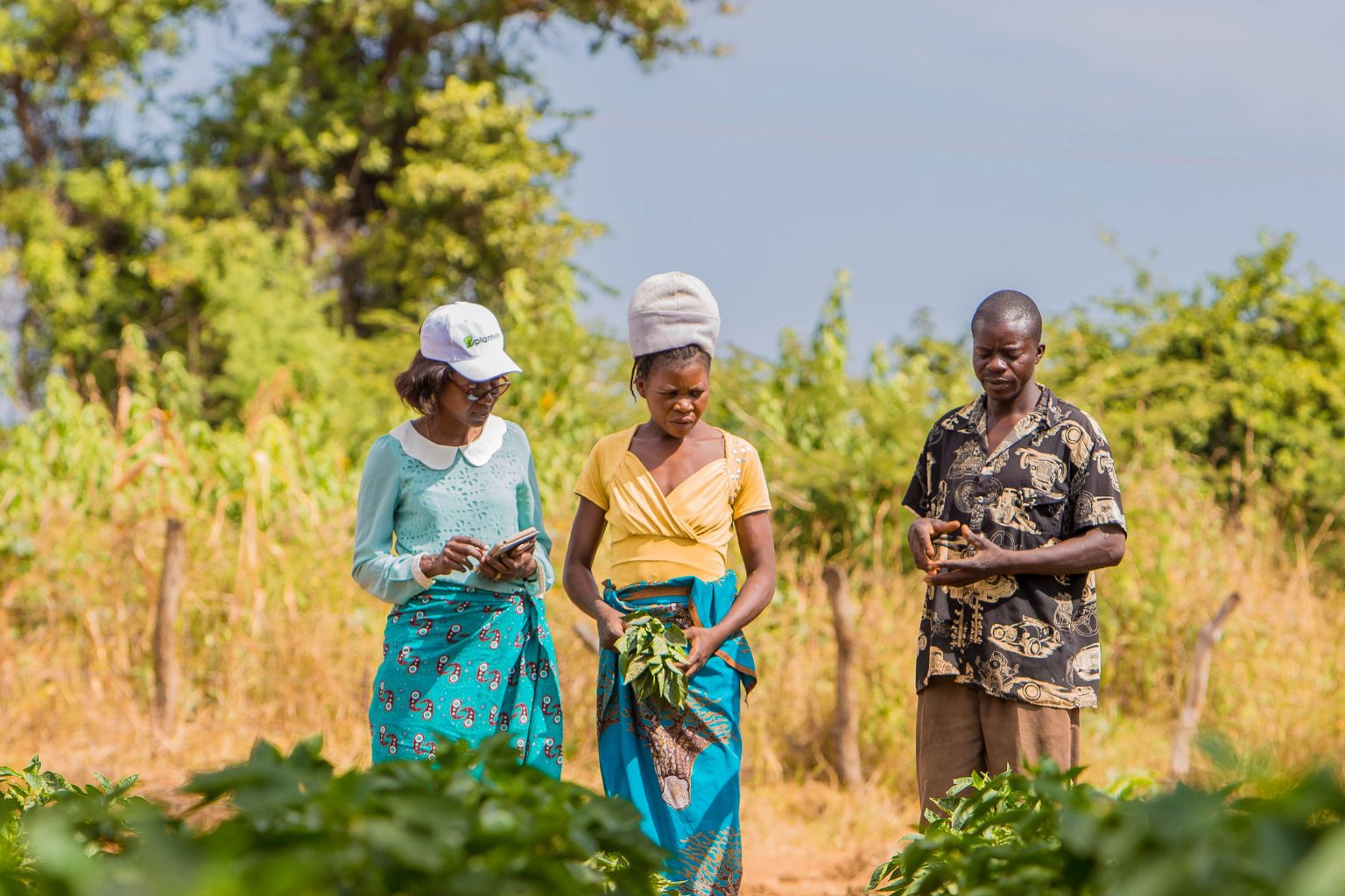 PlantwisePlus - PlantwisePlus